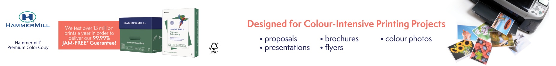 Welcome to MC Business Solutions -Chatham, Sarnia & Windsor (aka Maple ...